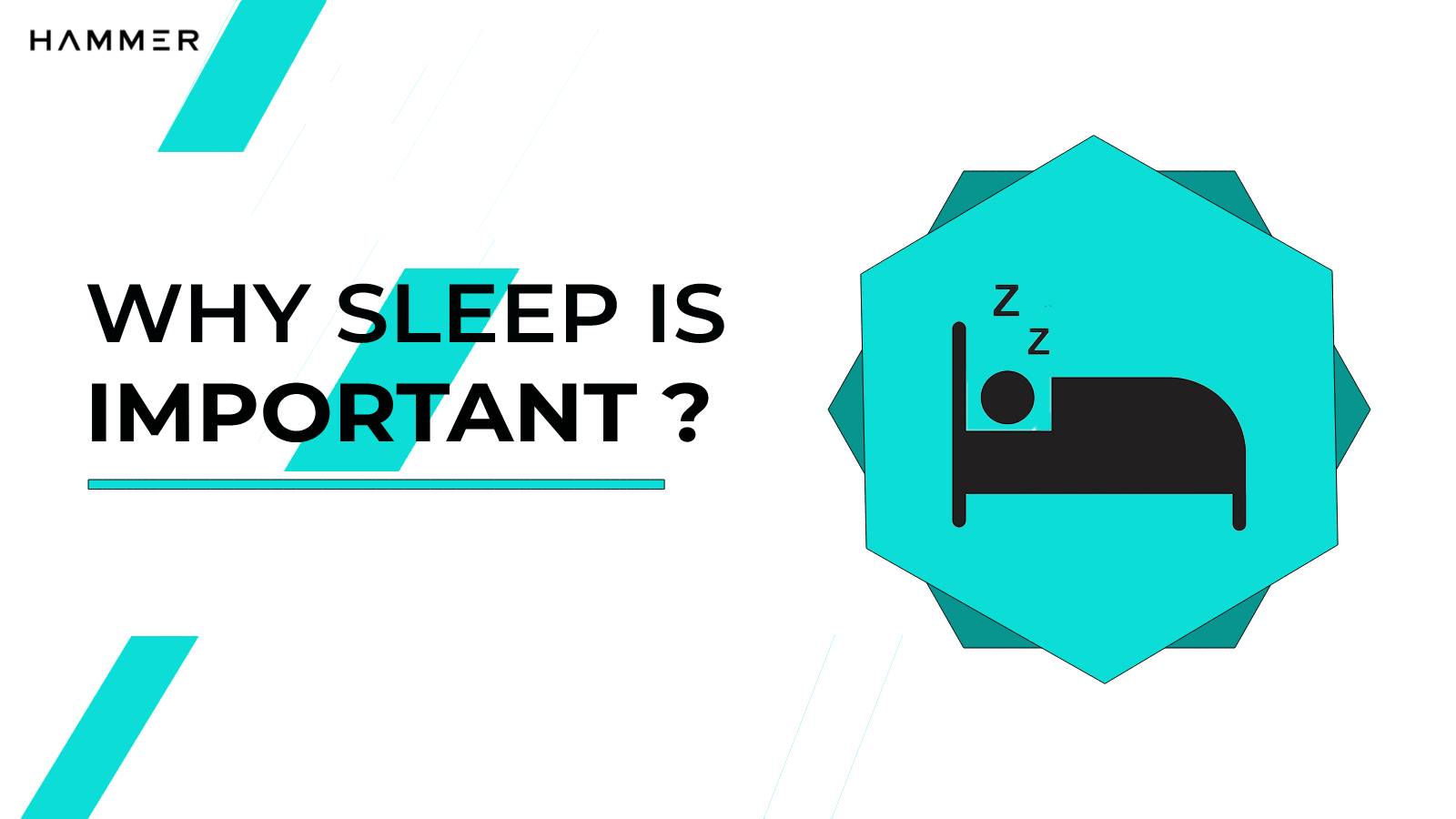 Why Sleep is Important and How to Track Good Sleep? – Hammer